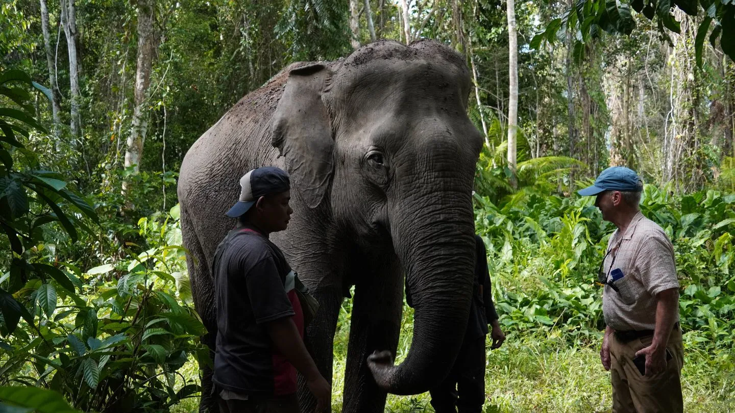 Aceh's Biodiversity - Yayasan HAkA